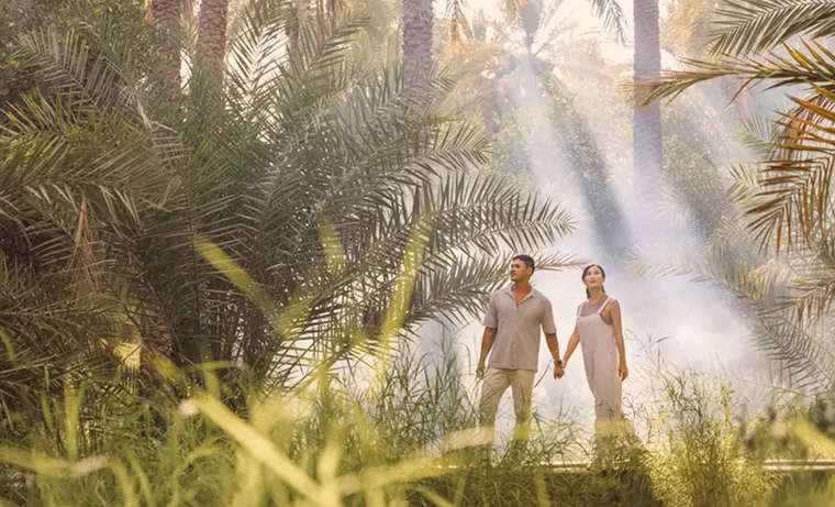 Travel Back in Time with These Experiences at the Al Ain Oasis ...