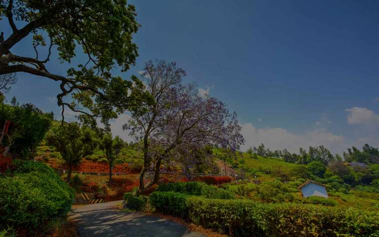 Top 5 Things to Do in Coonoor | MakeMyTripBlog