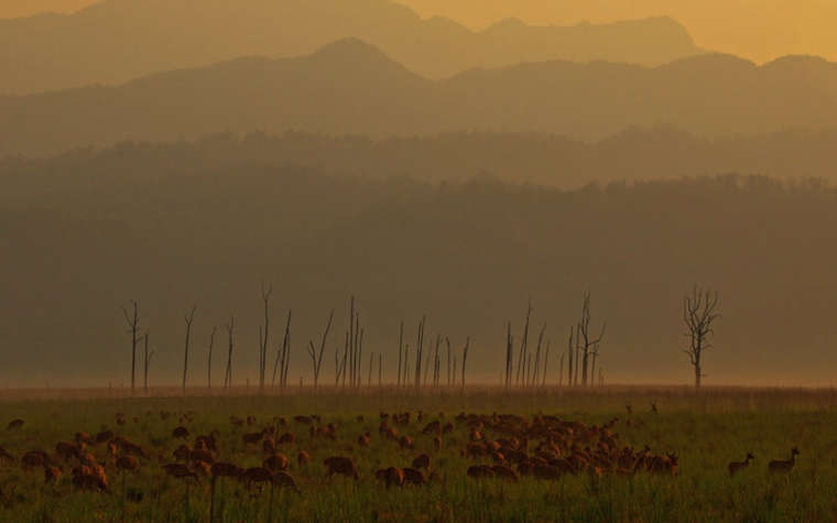 Things to Do in Corbett on Your Next Long Weekend | MakeMyTrip Blog