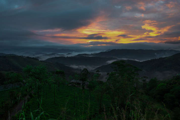 5 Reasons to Add a Vagamon Trip to Your Kerala Itinerary | MakeMyTrip Blog