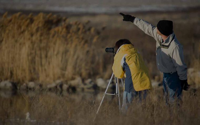 Best Places for Bird-Watching | MakeMyTrip Blog