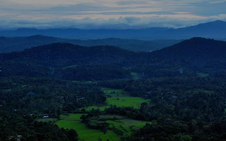 Coorg: A Quick and Handy Travel Guide | MakeMyTrip Blog