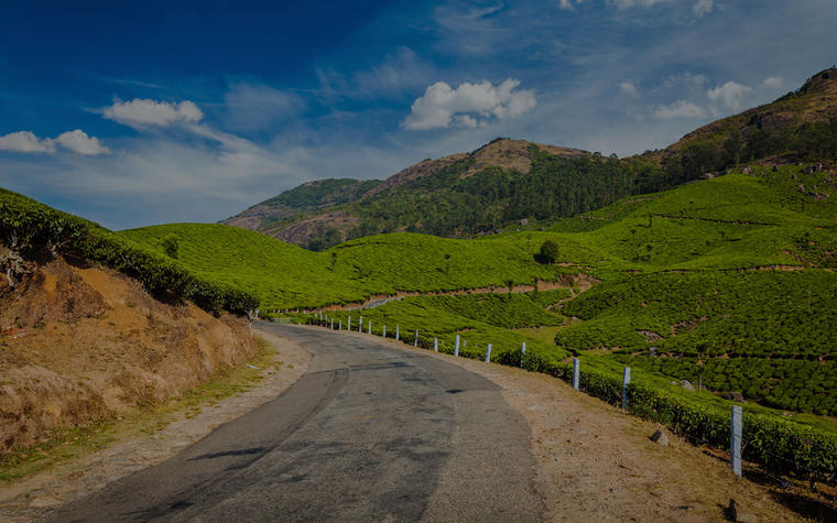 My Way On Highway: Day 37, Munnar, Here We Come | MakeMyTrip Blog
