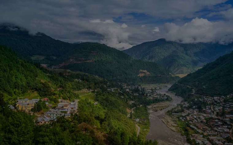 What is Ziro Festival | MakeMyTrip Blog