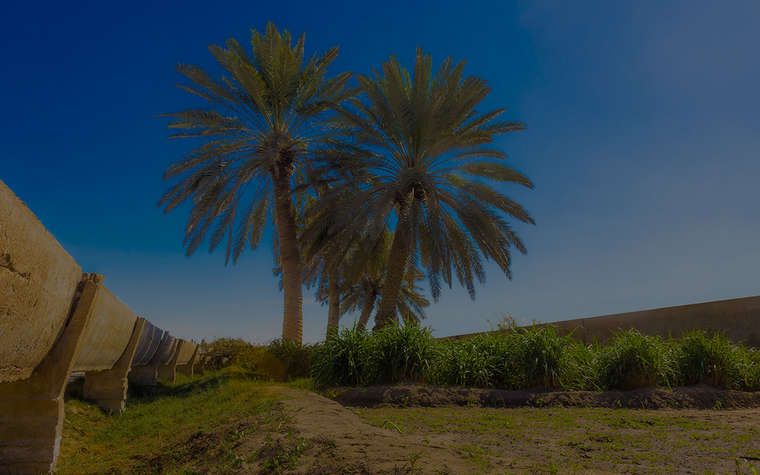 6 Spectacular Things That Will Convince You to Visit Al Ahsa Right Now ...