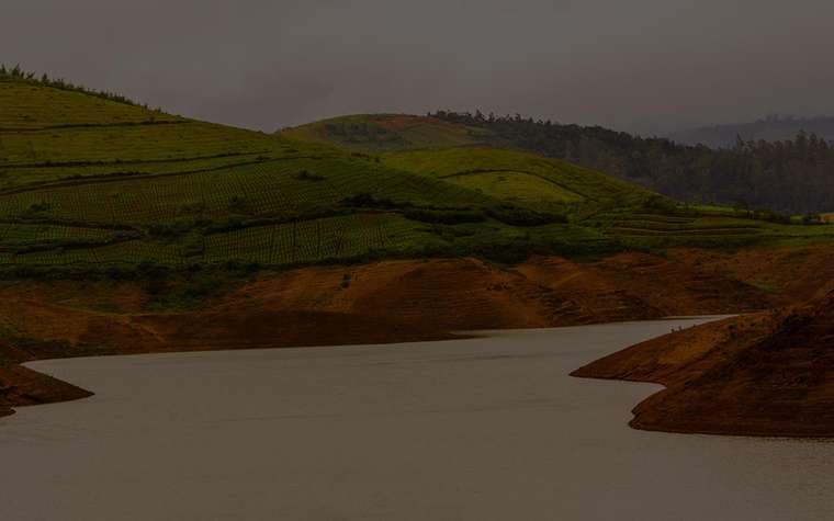 Top 7 Experiences in Coonoor That You Shouldn't Miss | MakeMyTripBlog