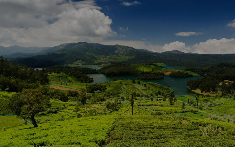 Take Your Love to New Heights at These Super Romantic Places in Ooty ...