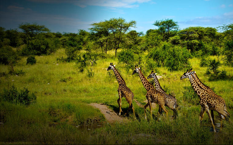 Tales From A 12-Year-Old: My Time In Kenya (Day 1) | MakeMyTrip Blog