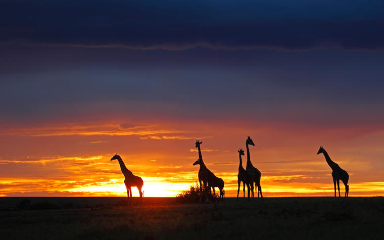 Tales From a 12-Year-Old: My Time in Kenya (Day 3) | MakeMyTrip Blog